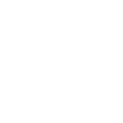 Software oder Hardware - Shamrock Software GmbH